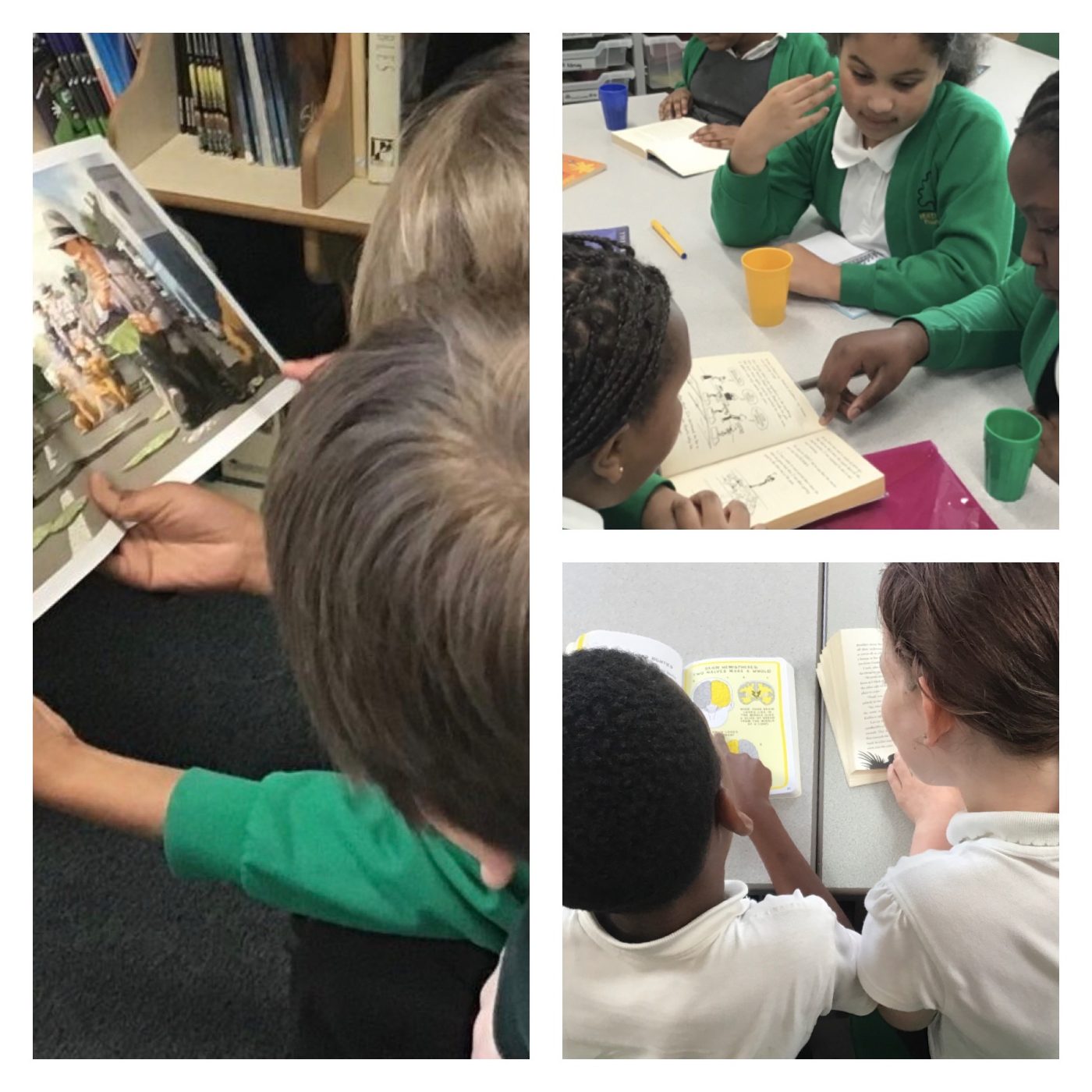 Reading Aloud: Capturing the Benefits of Reading Aloud - Reading for ...